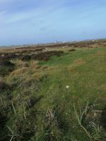 Property for Sale Oban & Western Isles, Scotland UK